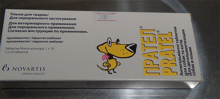 Противоглистный препарат Прател для кошек: инструкция по применению ...