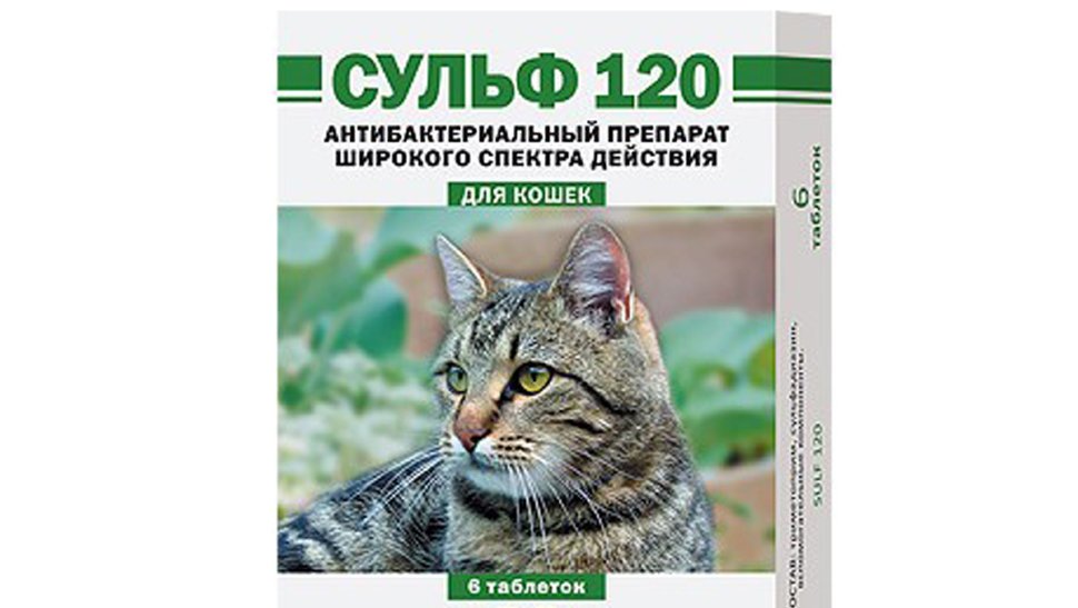 Сульф 120 для кошек – эффективный комбинированный антибиотик для ...